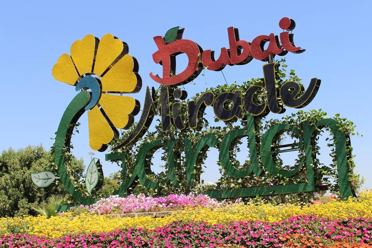 أفضل 4 أنشطة عائلية في دبي - عين دبي